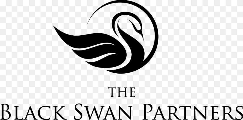 Black Swan Partner Black Swan Group Logo, Stencil Sticker PNG - FlyClipart