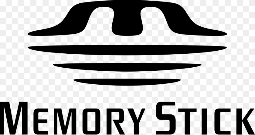 Memory Stick Pro Duo Logo, Gray Transparent PNG - FlyClipart