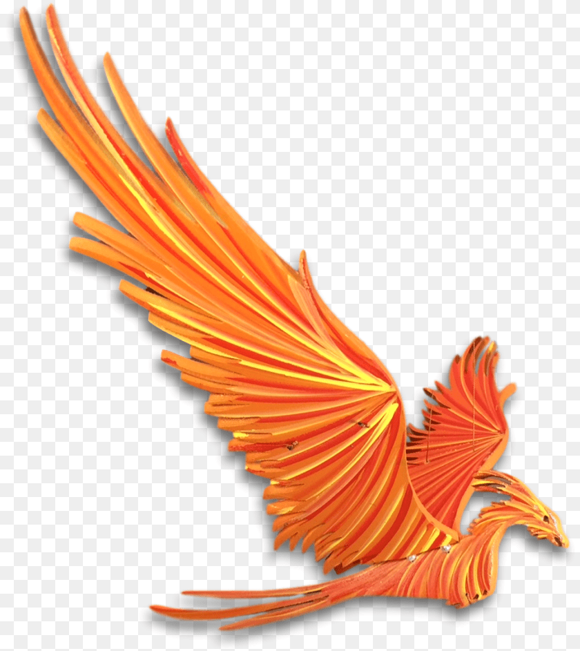 Return Of The Animated Gif 2d Bird Flying Animation, Animal, Flock ...