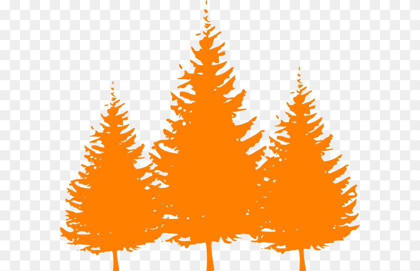 Pine Tree Silhouette Vector Pine Tree Clipart, Conifer, Fir, Plant ...