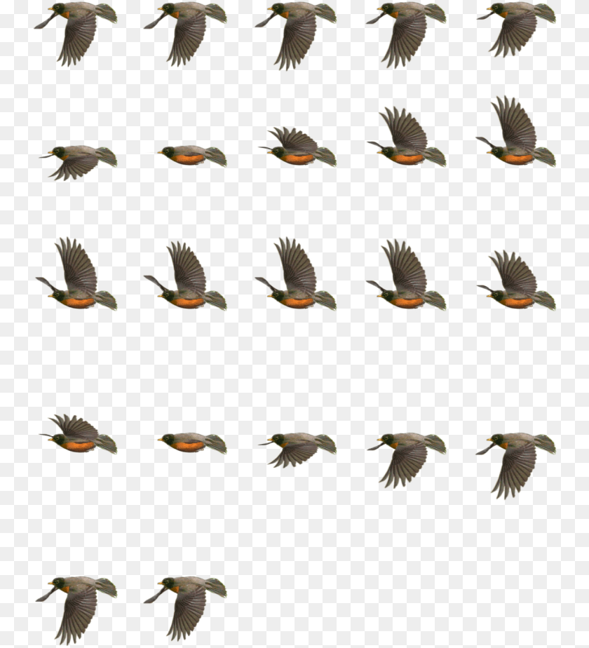 Return Of The Animated Gif 2d Bird Flying Animation, Animal, Flock ...