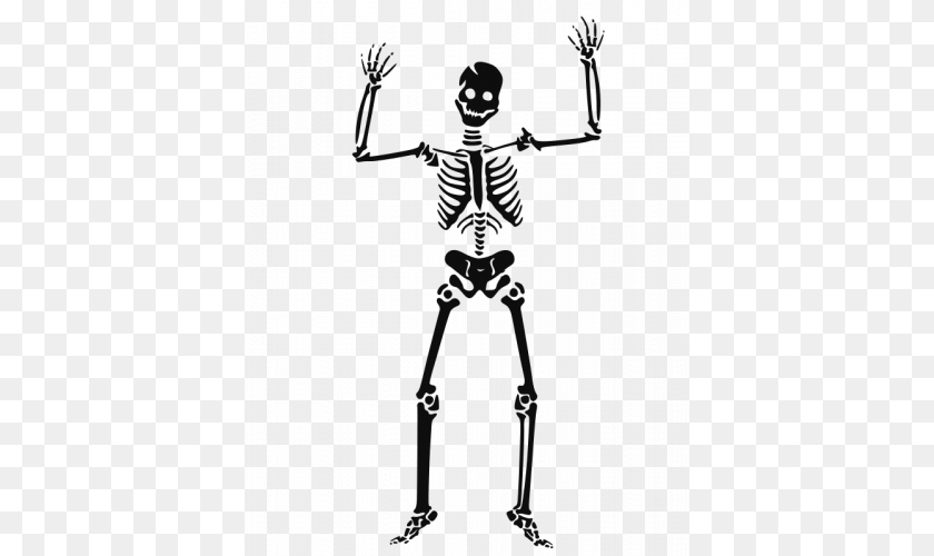 Scary Human Skeleton Vector, Person, Face, Head Clipart PNG - FlyClipart