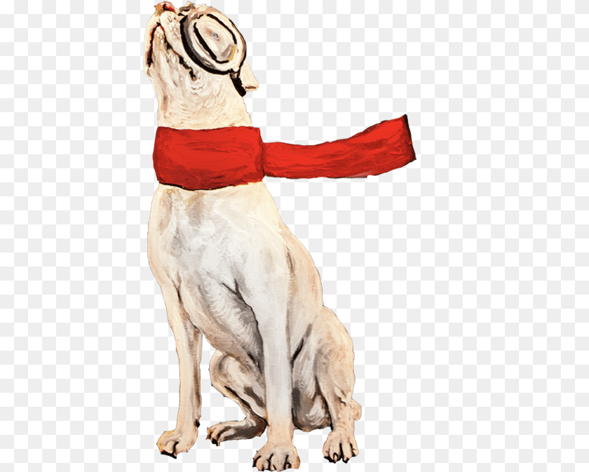 Ted Dog Catches Something, Accessories, Animal, Canine, Mammal Clipart ...